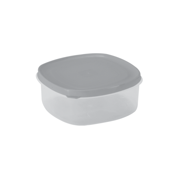 Sky Plastic Multi Purpose Box - Sky Plastic